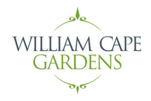 Clobba Analytics – Voice Technologies